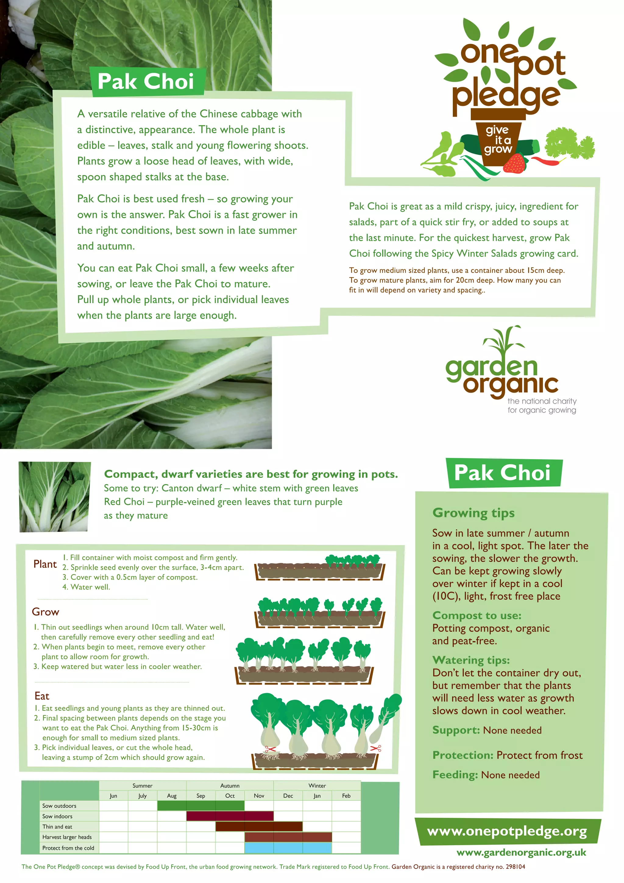 Pak Choi - Organic Growing Guides for Teachers | PDF