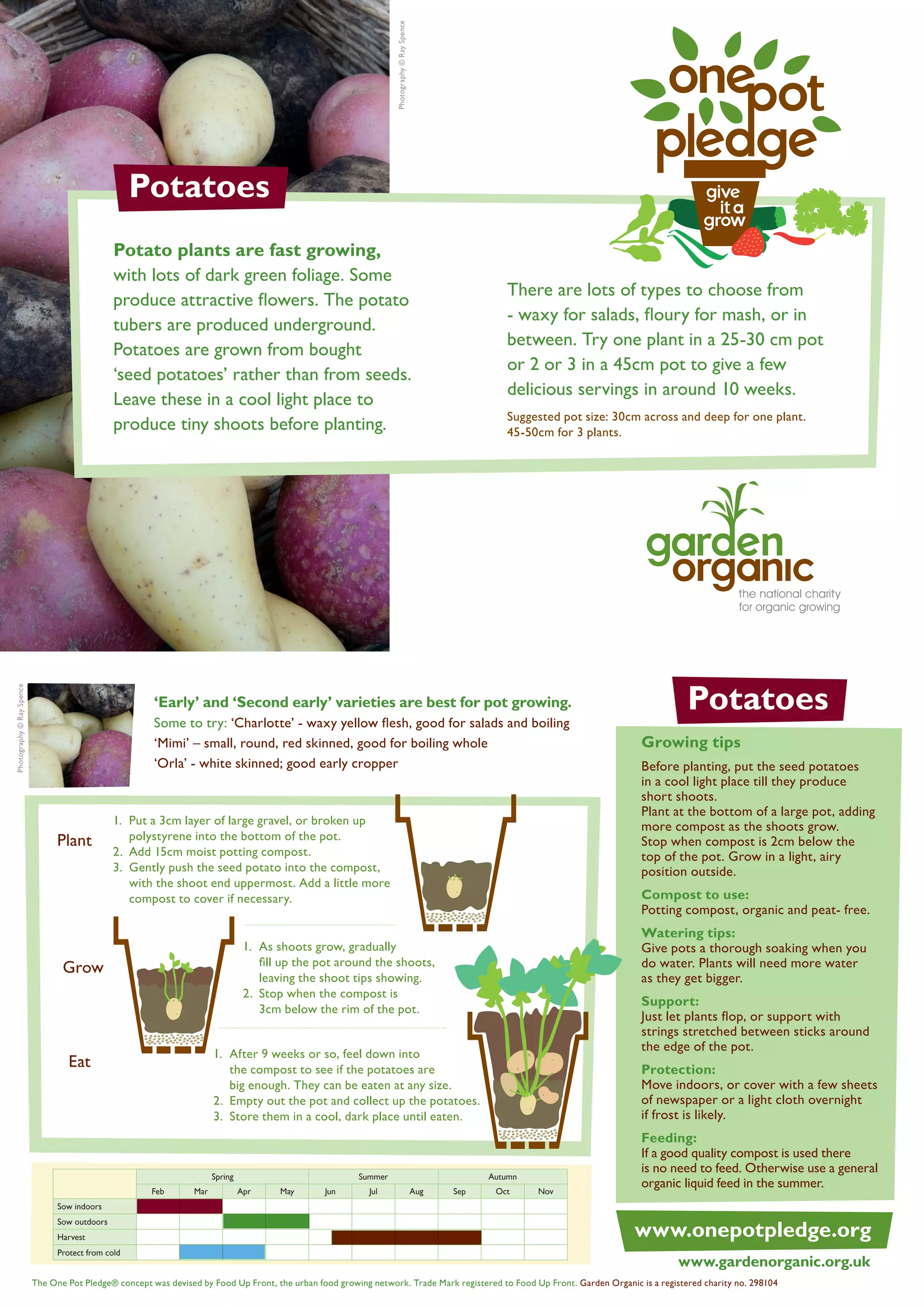 Potatoes - Organic Growing Guides for Teachers | PDF