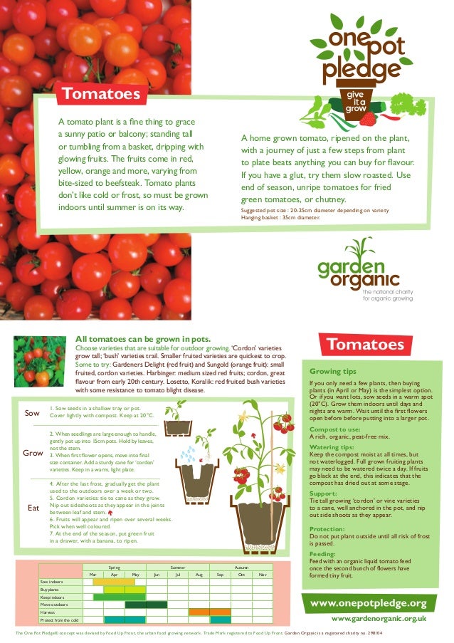 Planting Guide Tomatoes at Mary Wilber blog