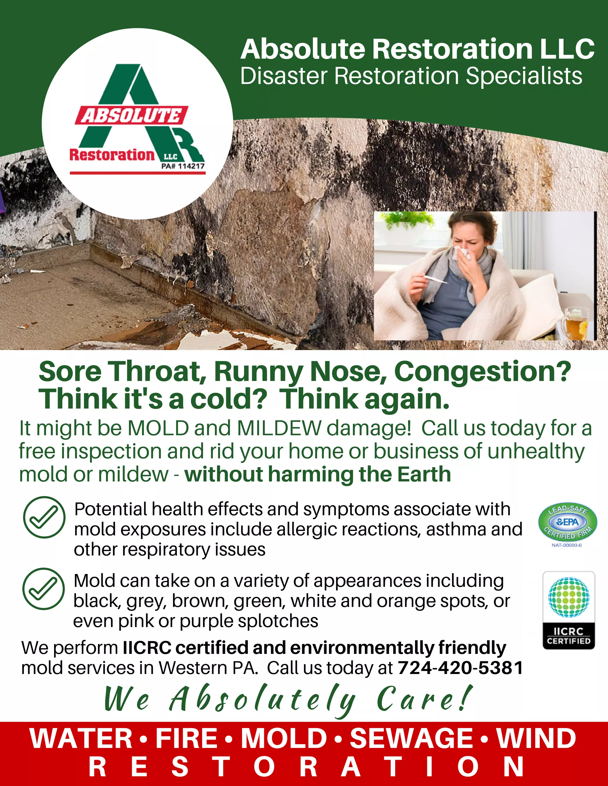 Absolute Mold vs. Cold Flyer January 2016 | PDF