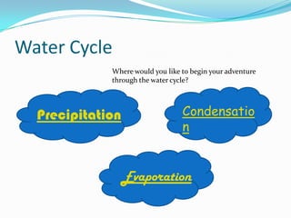 The Water Cycle | PPT