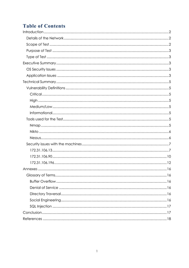 Vulnerability Assessment Report | PDF | Information and Network Security | Computing