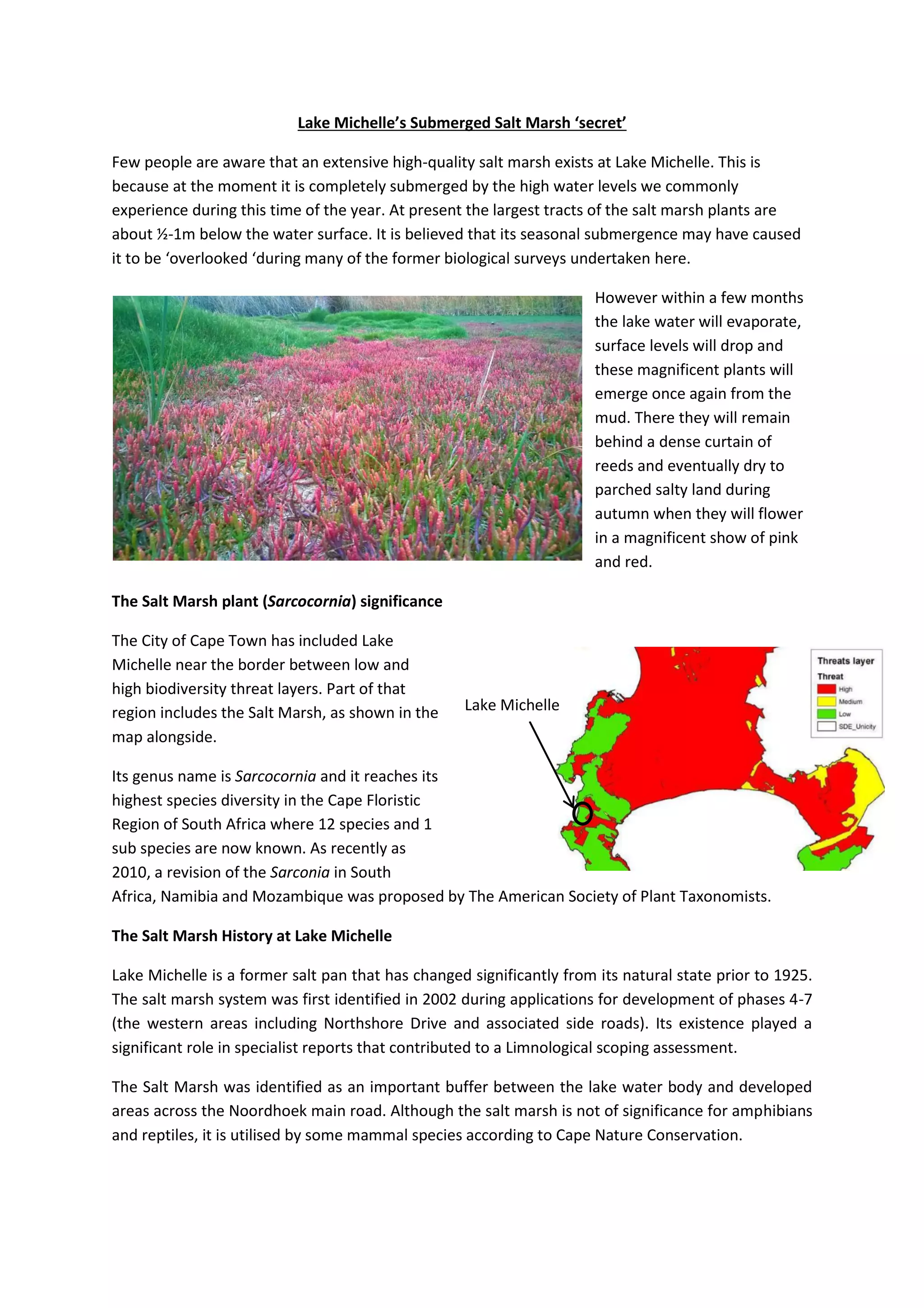 Lake Michelle submerged salt marsh secret | PDF