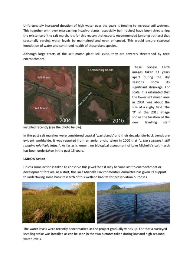 Lake Michelle submerged salt marsh secret | PDF | Geography | Science
