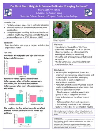 PollinatorForagingPatternsPoster (1) | PPTX
