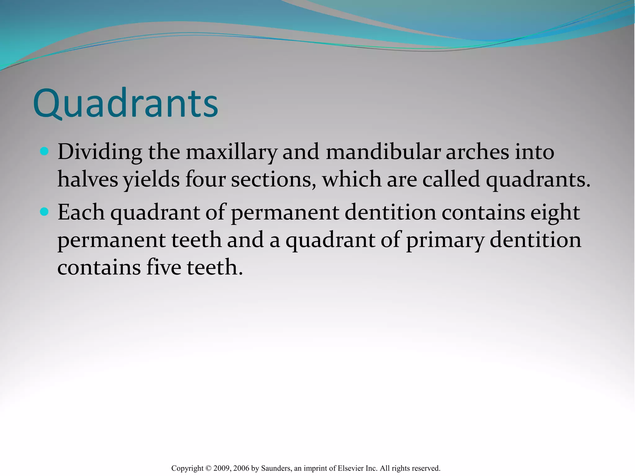 Anatomy and morphology of teeth | PDF