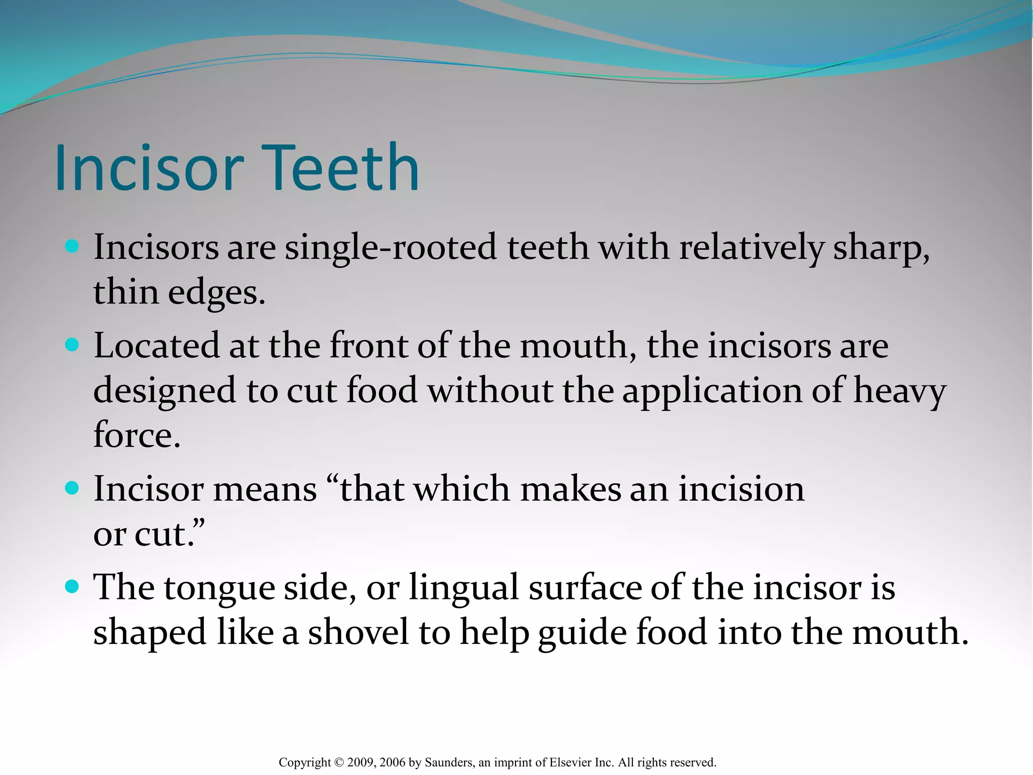 Anatomy and morphology of teeth | PDF