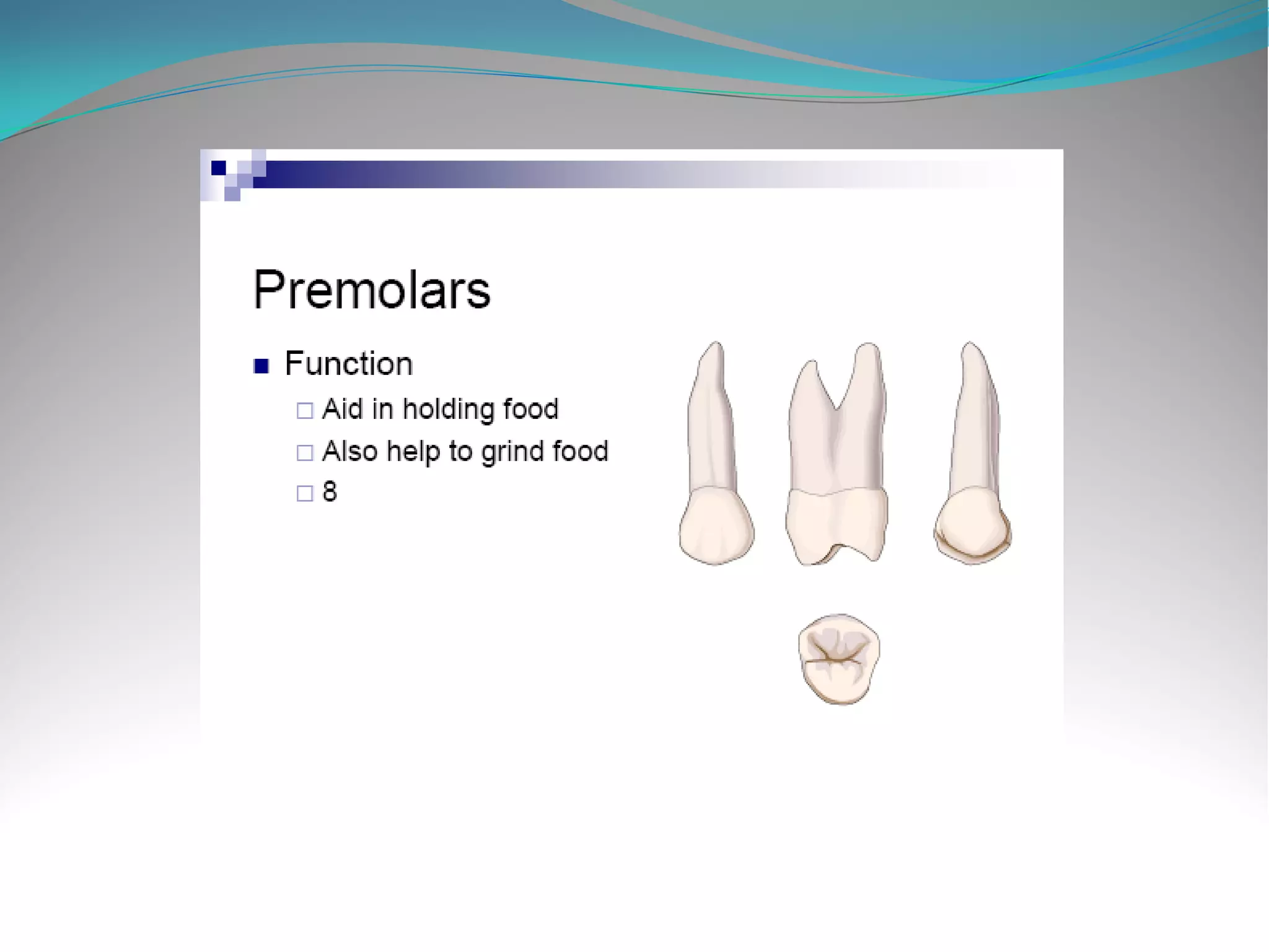 Anatomy and morphology of teeth | PDF