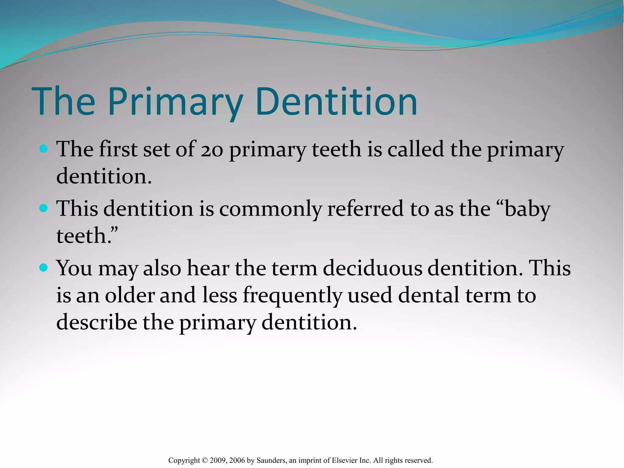 Anatomy and morphology of teeth | PDF