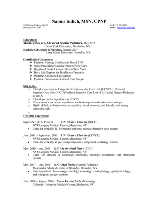 final resume PNP general | PDF