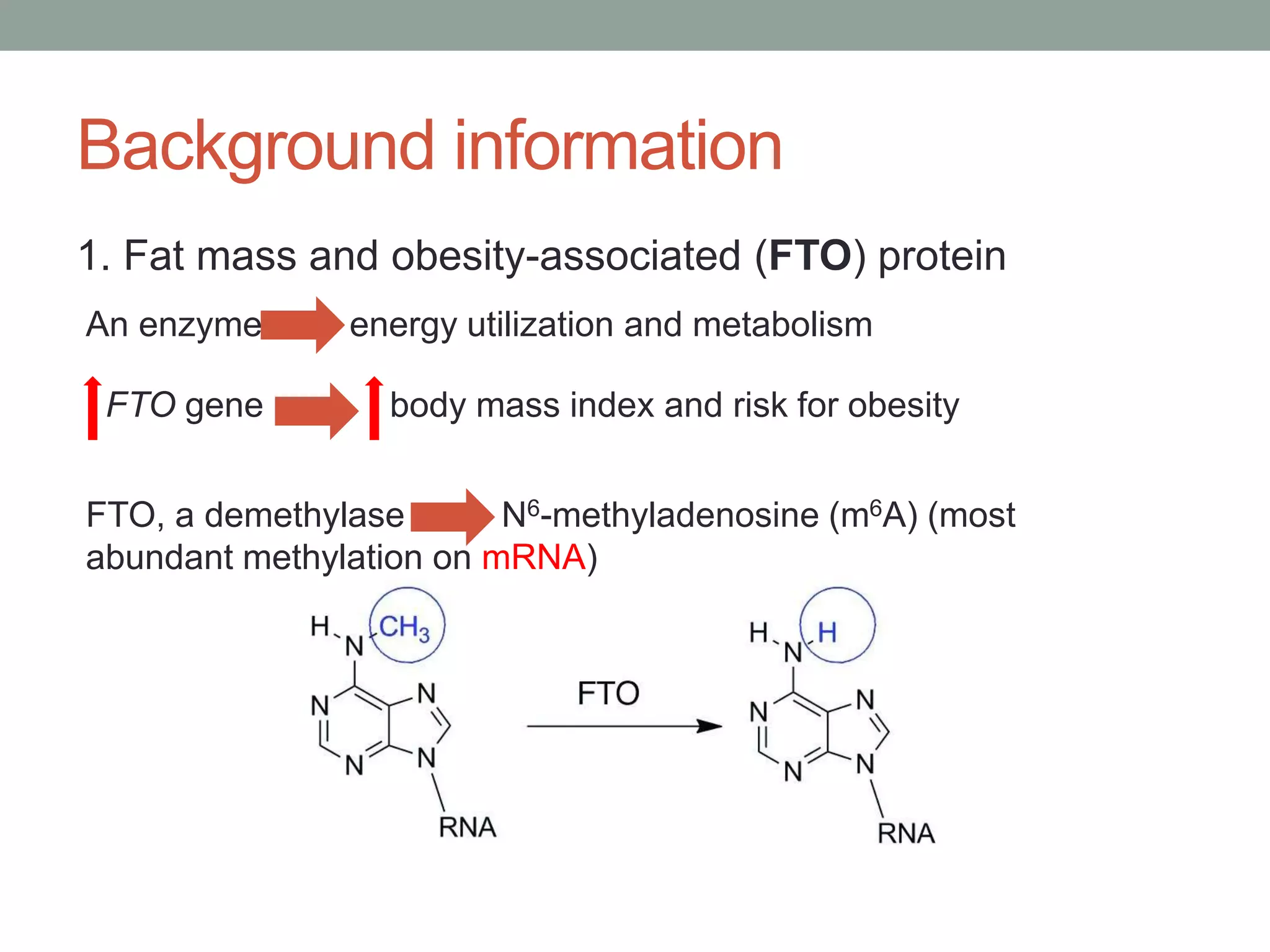 Liu_Jiangyuan_1201662_Presentation | PPT
