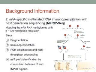 Liu_Jiangyuan_1201662_Presentation | PPT
