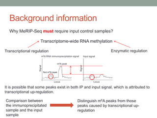 Liu_Jiangyuan_1201662_Presentation | PPT