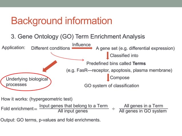 Liu_Jiangyuan_1201662_Presentation | PPT