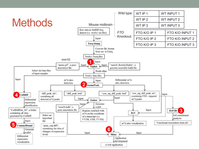 Liu_Jiangyuan_1201662_Presentation | PPT