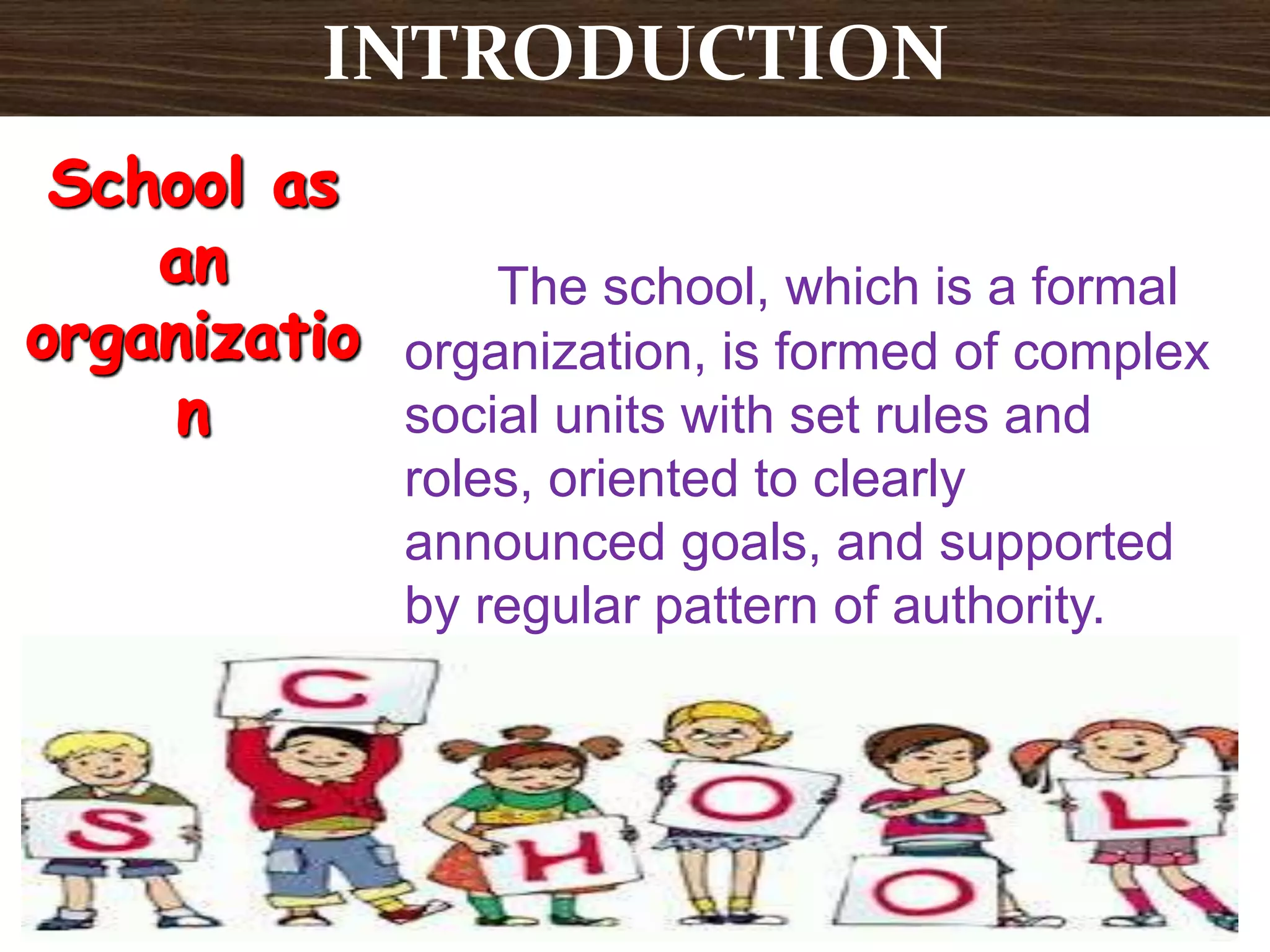 Educational Institution: concept of Professional Organization | PPTX