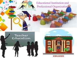 Educational Institution: concept of Professional Organization | PPTX