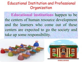 Educational Institution: concept of Professional Organization | PPTX