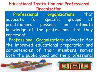 Educational Institution: concept of Professional Organization | PPTX