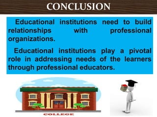 Educational Institution: concept of Professional Organization | PPTX