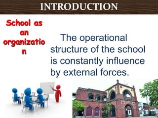Educational Institution: concept of Professional Organization | PPTX