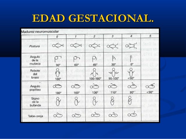 Edad gestacional
