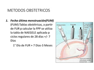 Edad gestacional wecb 2021 a | PPT