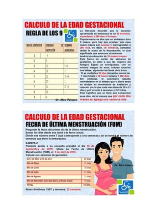 Edad gestacional y fecha probable de parto | DOCX