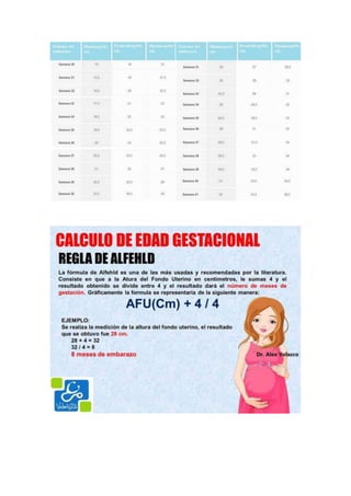 Edad gestacional y fecha probable de parto | DOCX