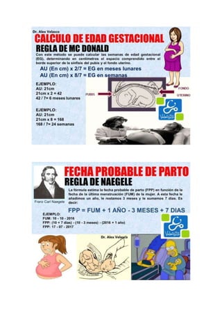 Edad gestacional y fecha probable de parto | DOCX