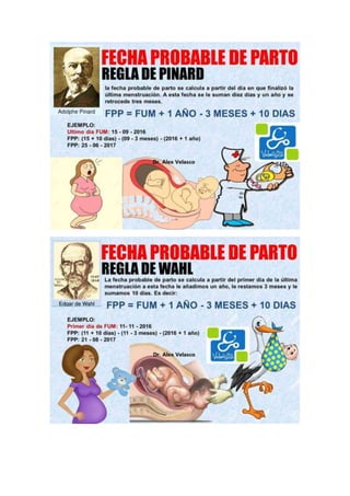 Edad gestacional y fecha probable de parto | DOCX | Pregnancy ...