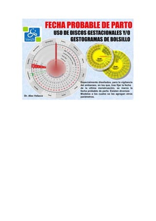 Edad gestacional y fecha probable de parto | DOCX