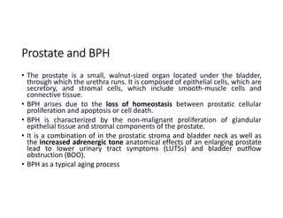 Erectile Dysfunction and Benign Prostate Hyperplasia | PDF | Sexual ...