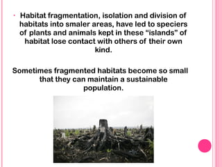 Edangered species | PPT