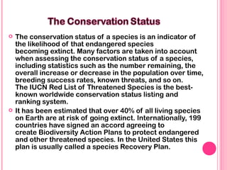 Edangered species | PPT