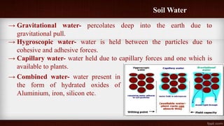 Edaphic factor - soil properties | PPT