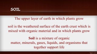 Edaphic factor - soil properties | PPT