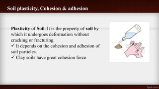 Edaphic factor - soil properties | PPT