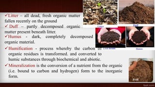 Edaphic factor - soil properties | PPT