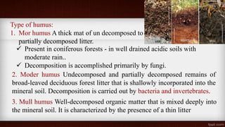 Edaphic factor - soil properties | PPT