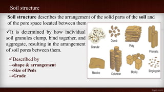 Edaphic factor - soil properties | PPT