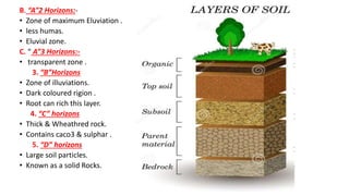 Edafic factors. | PPTX