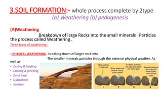 Edafic factors. | PPTX