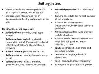 Edaphic factors- soil profile, structure, porosity, soil moisture, soil ...