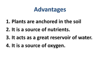 Edaphology | PPTX | Science