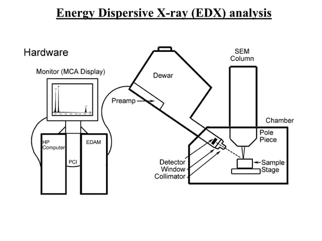 EDAX -Energy Dispersive X-ray analysis | PPTX | Physics | Science