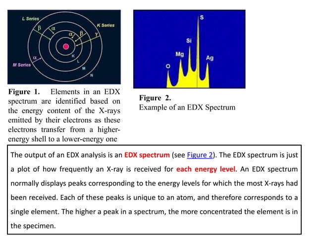 EDAX -Energy Dispersive X-ray analysis | PPTX | Physics | Science