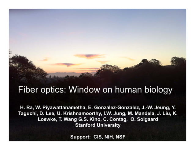 Fiber Optics - Window on Human Biology: Olav Solgaard | PPT