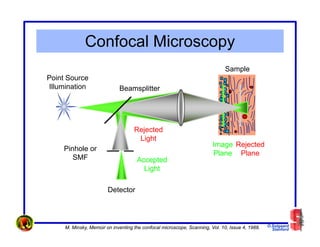 Fiber Optics - Window on Human Biology: Olav Solgaard | PDF