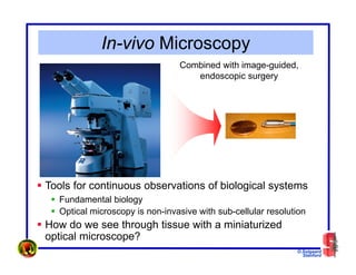 Fiber Optics - Window on Human Biology: Olav Solgaard | PDF